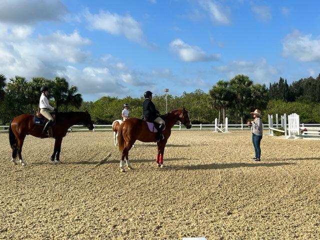 Horse Boarding – Vero Beach Equestrian Club