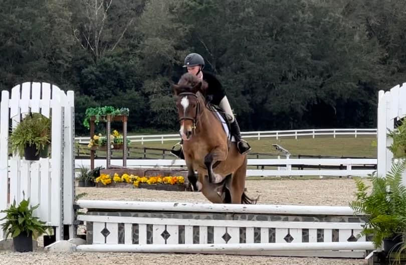 Horse Show Offerings and Opportunities – Vero Beach Equestrian Club