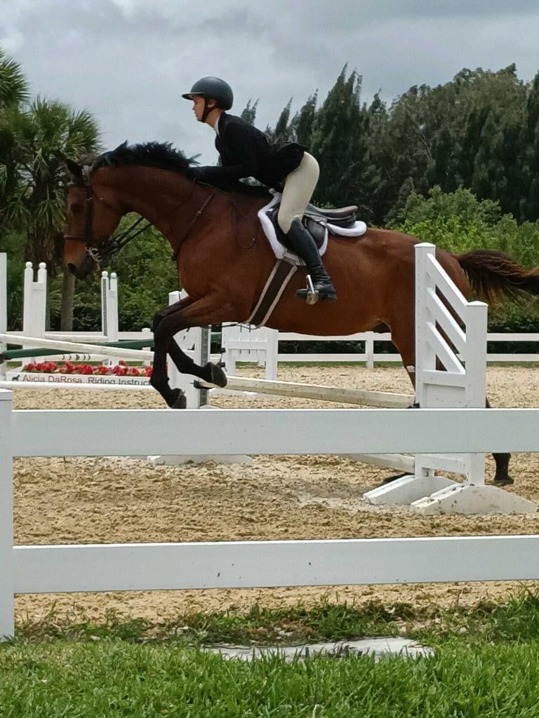 Horse Leasing – Vero Beach Equestrian Club
