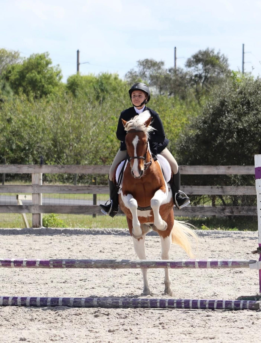 Riding Academy – Vero Beach Equestrian Club